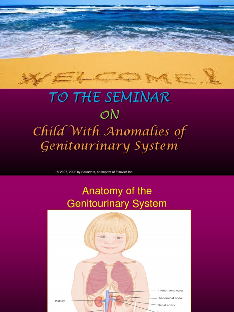 To The Seminar: Child With Anomalies of Genitourinary System | PDF ...