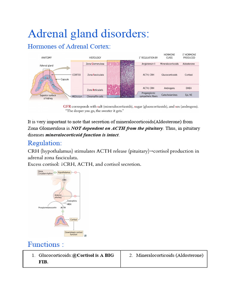 Adrenal Gland Disorders | PDF | Adrenal Gland | Adrenocorticotropic Hormone