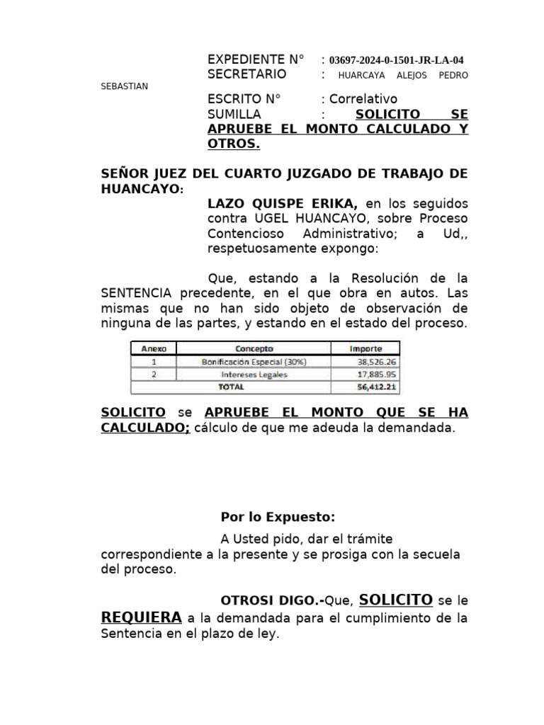 Peritaje Erika Consentida | PDF