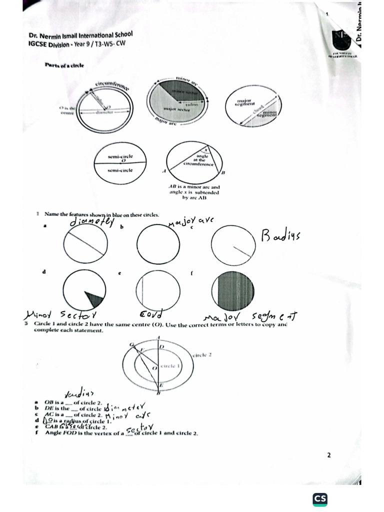 Math T3W5 CW | PDF