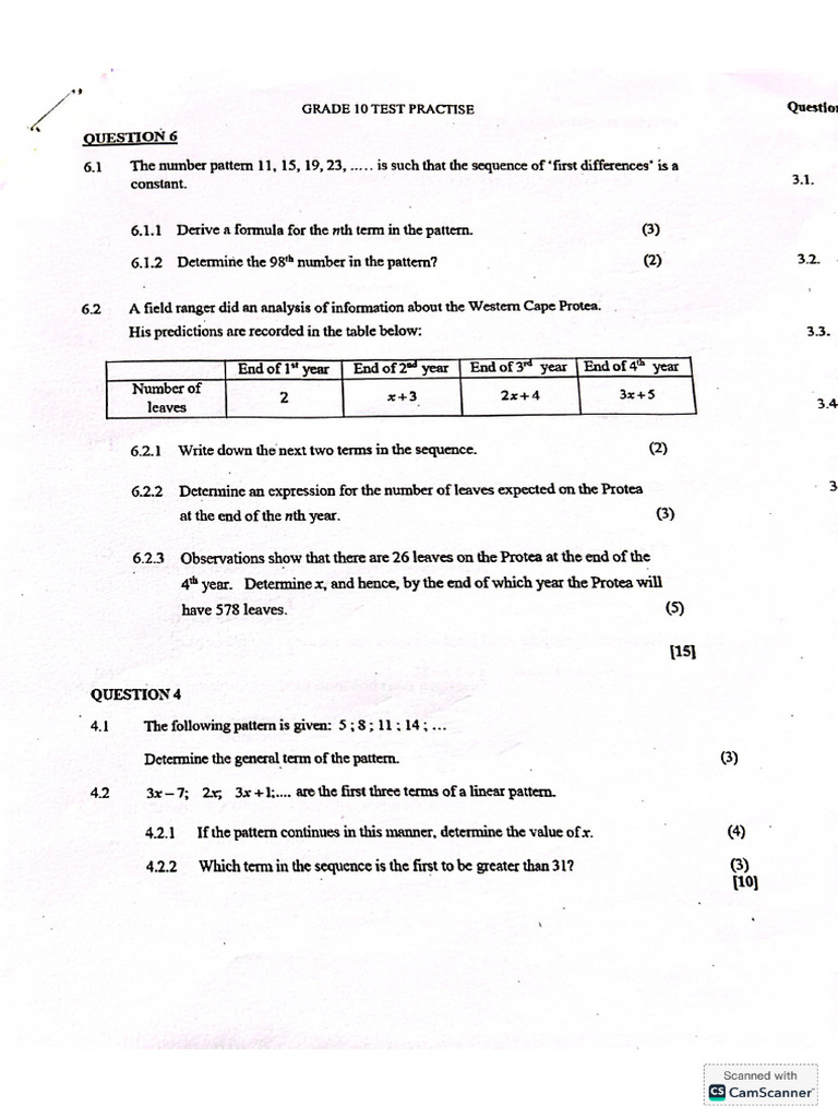 Term 2 Test Revision Gr10 | PDF