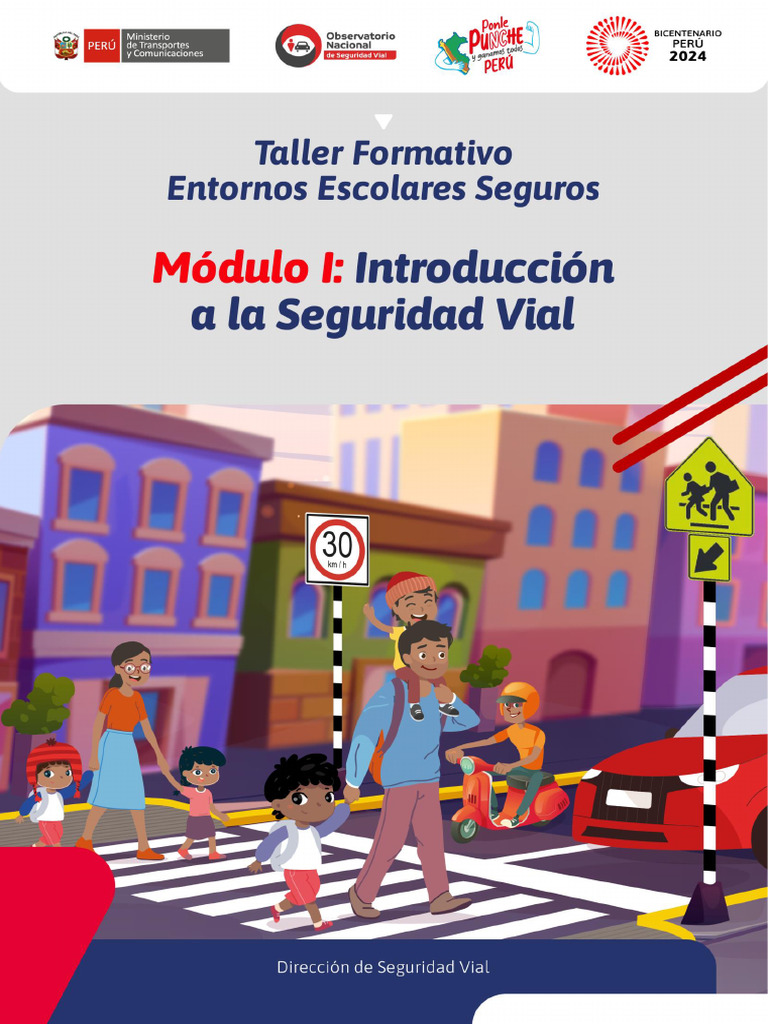 Taller Formativo EES - Módulo I | PDF | Seguridad vial | Peatonal