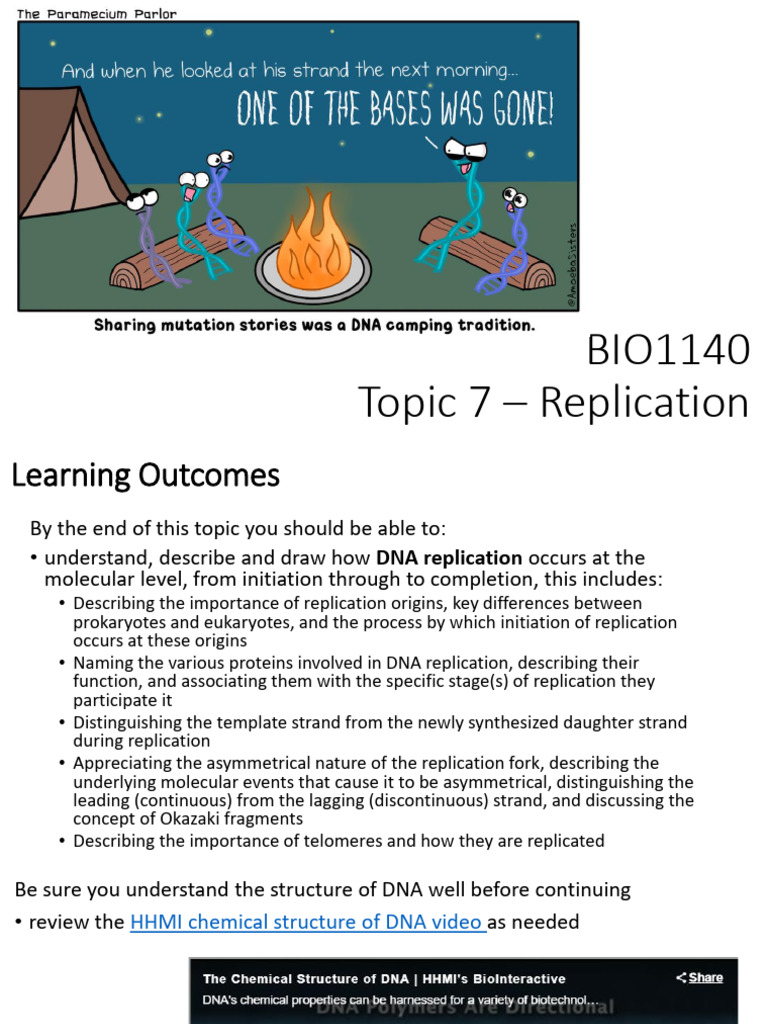 BIO1140 Topic 7 Replication W2021 | PDF | Dna Replication | Dna