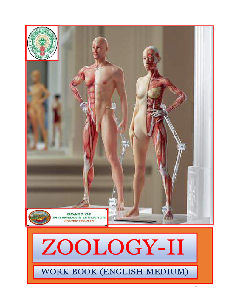 Chaduvu - 12 - Zoology Work Book - EM by APBIE | PDF | Digestion | Stomach