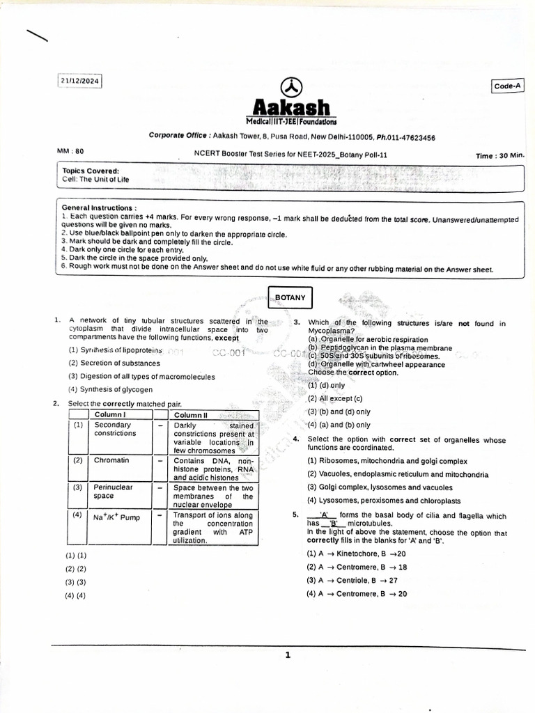 B11 Cell Class 12th | PDF