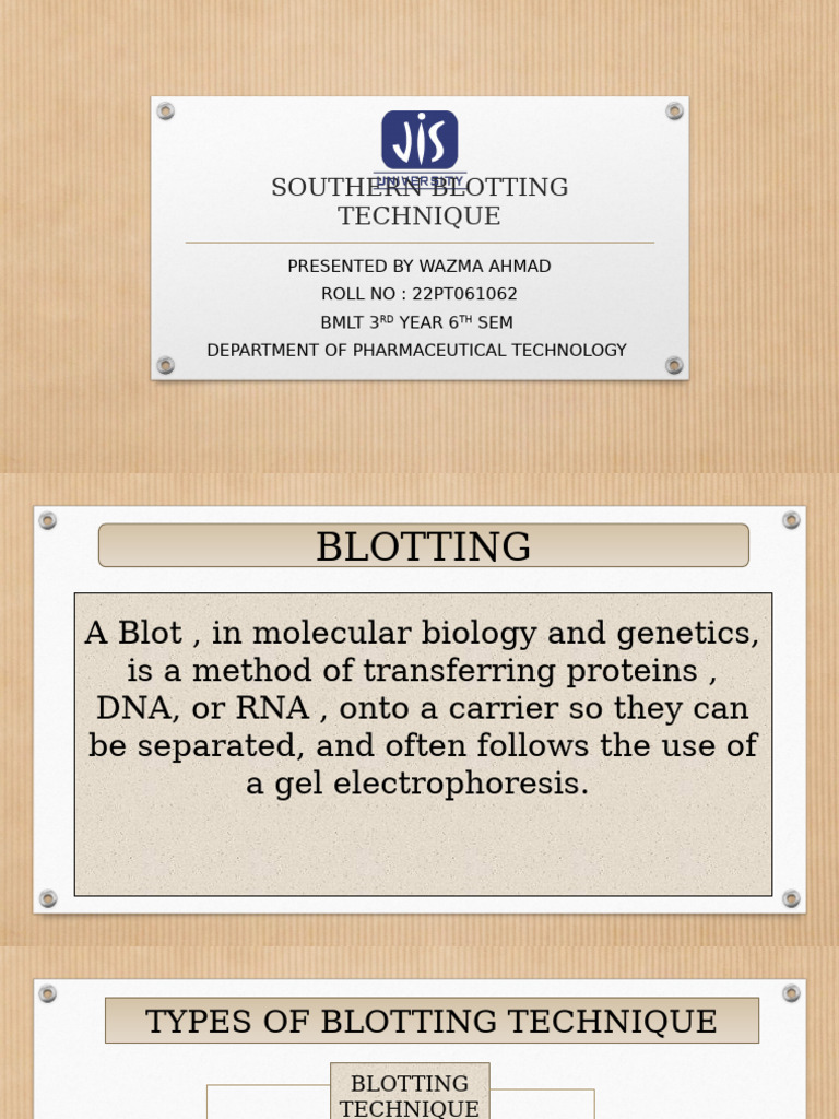 Southern Blotting Technique | PDF | Southern Blot | Blot (Biology)