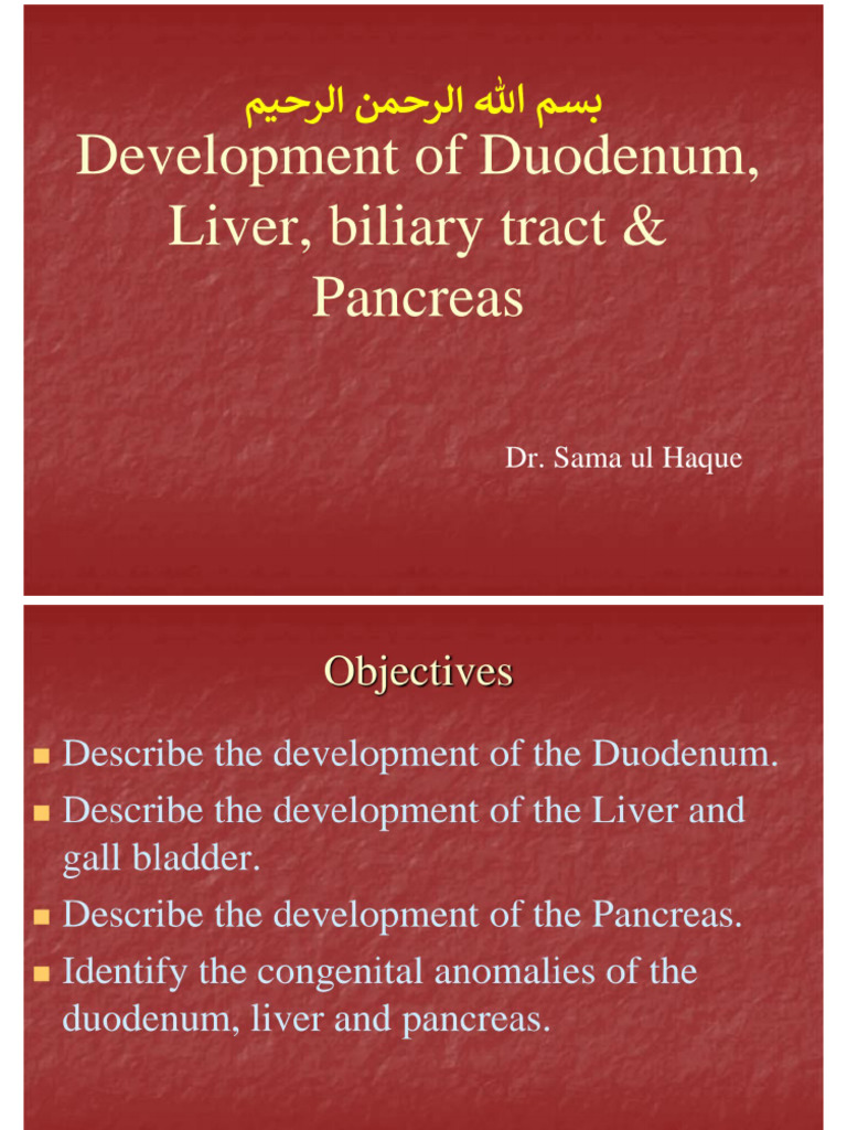 Development of Duodenum, Liver, Biliary Tract & Pancreas - 211001 ...