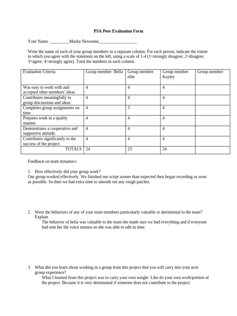 PSA Peer Evaluation Summary | PDF