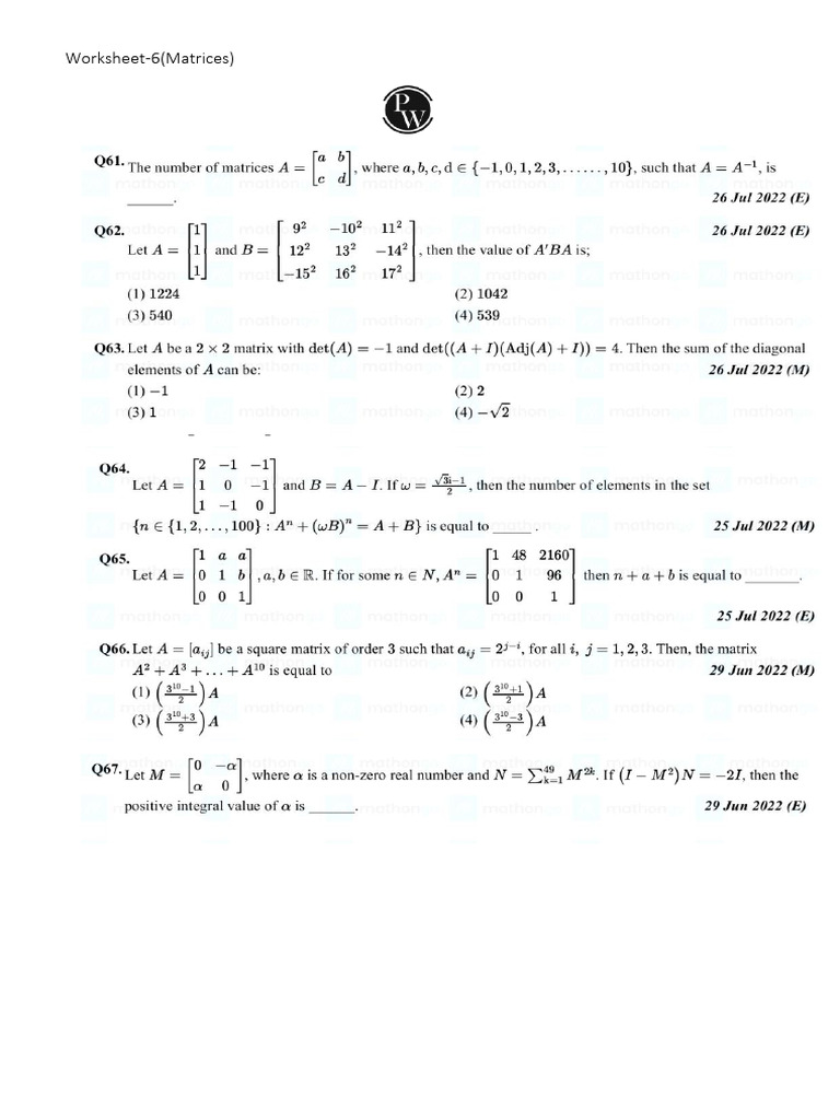 Worksheet 6 (Matrices) | PDF