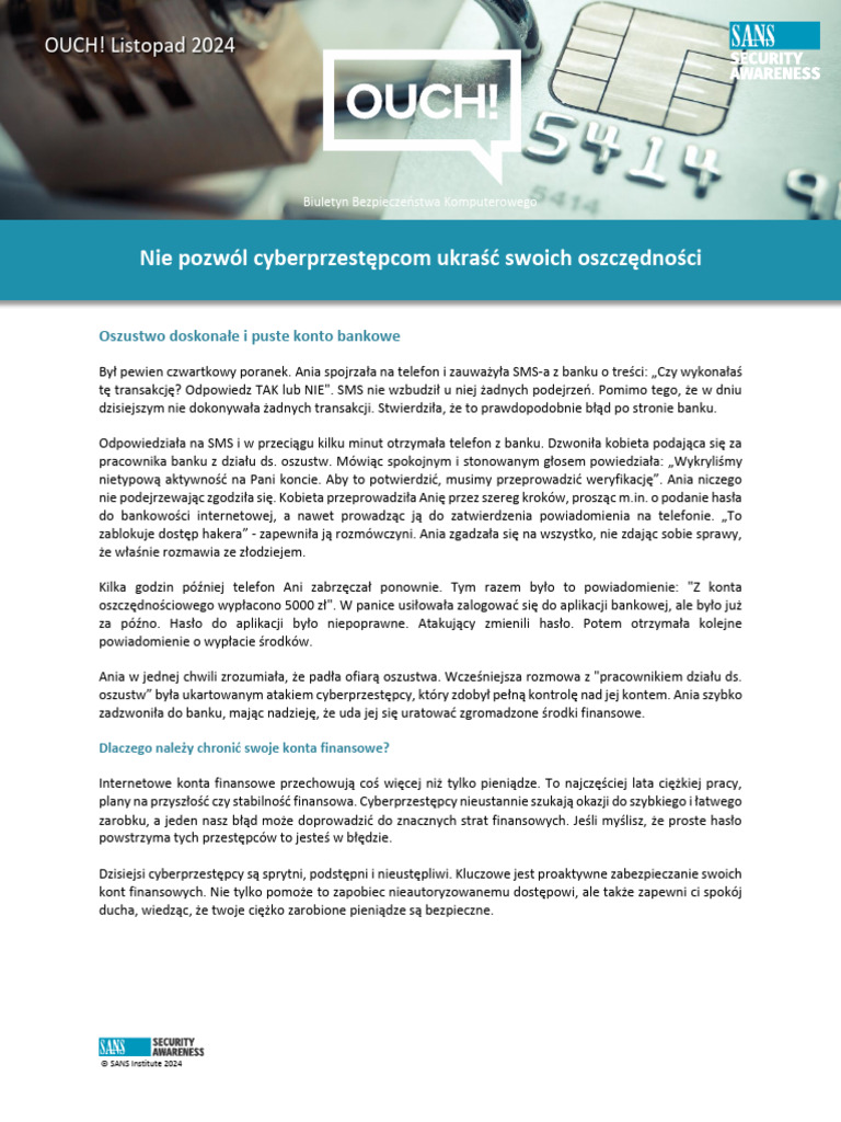 Ouch! Polish November 2024 Financial Accounts | PDF