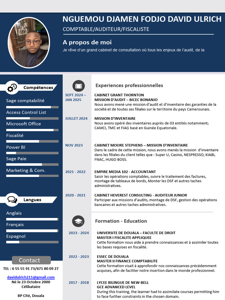 Profil de David Ulrich, Comptable/Auditeur | PDF | Comptabilité ...