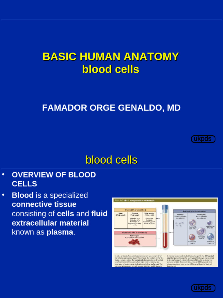Overview of Blood Cells and Plasma | PDF | Granulocyte | White Blood Cell