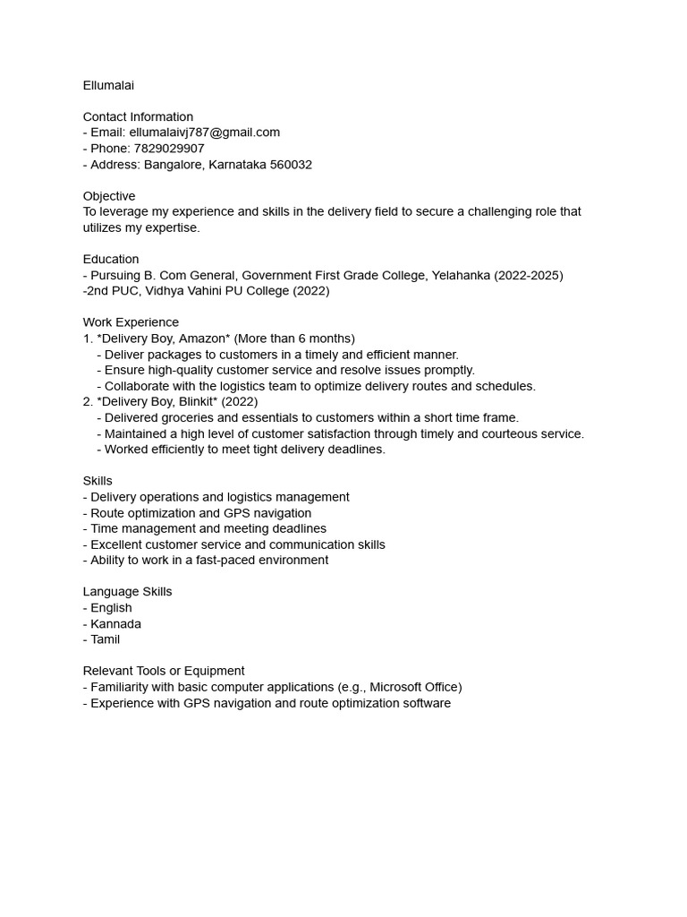 Delivery Boy Resume for Logistics Role | PDF
