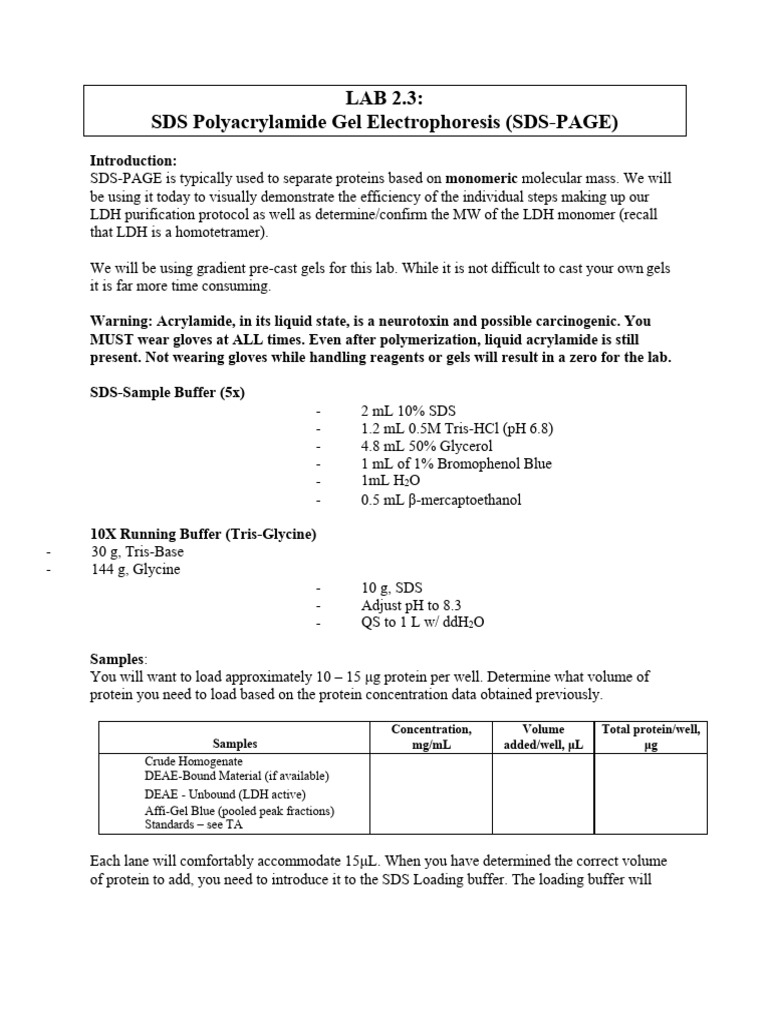 Lab 2.3 SDS-PAGE Protocol | PDF | Polyacrylamide Gel Electrophoresis ...