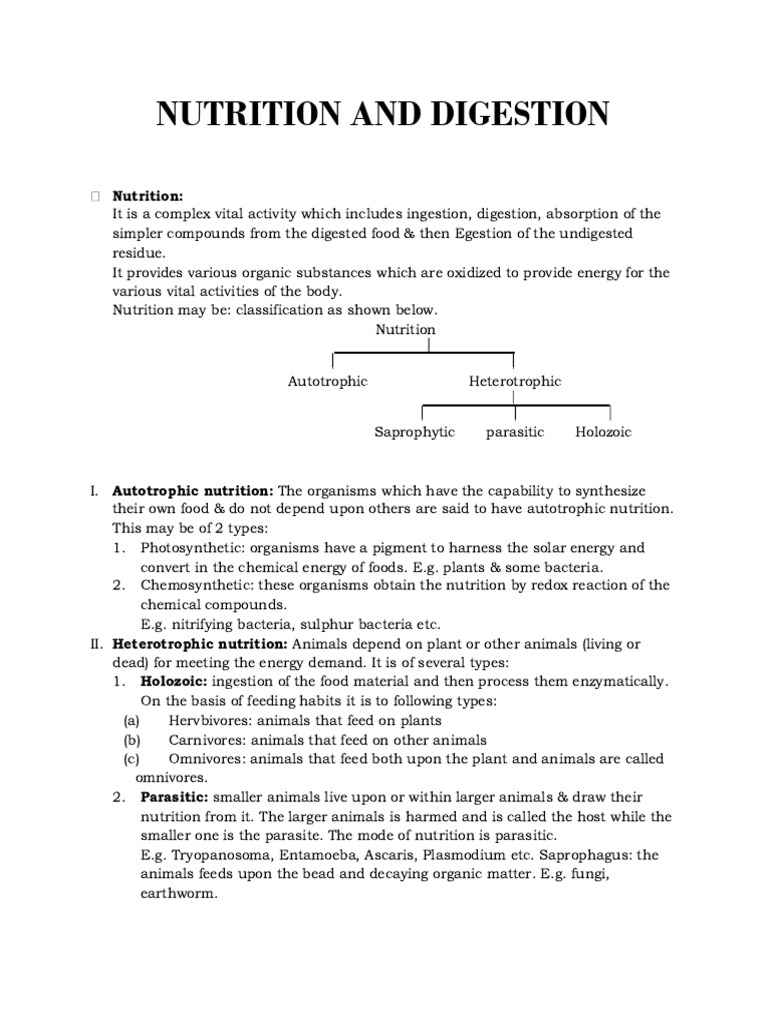 Digestion Absorption | PDF | Tooth | Stomach