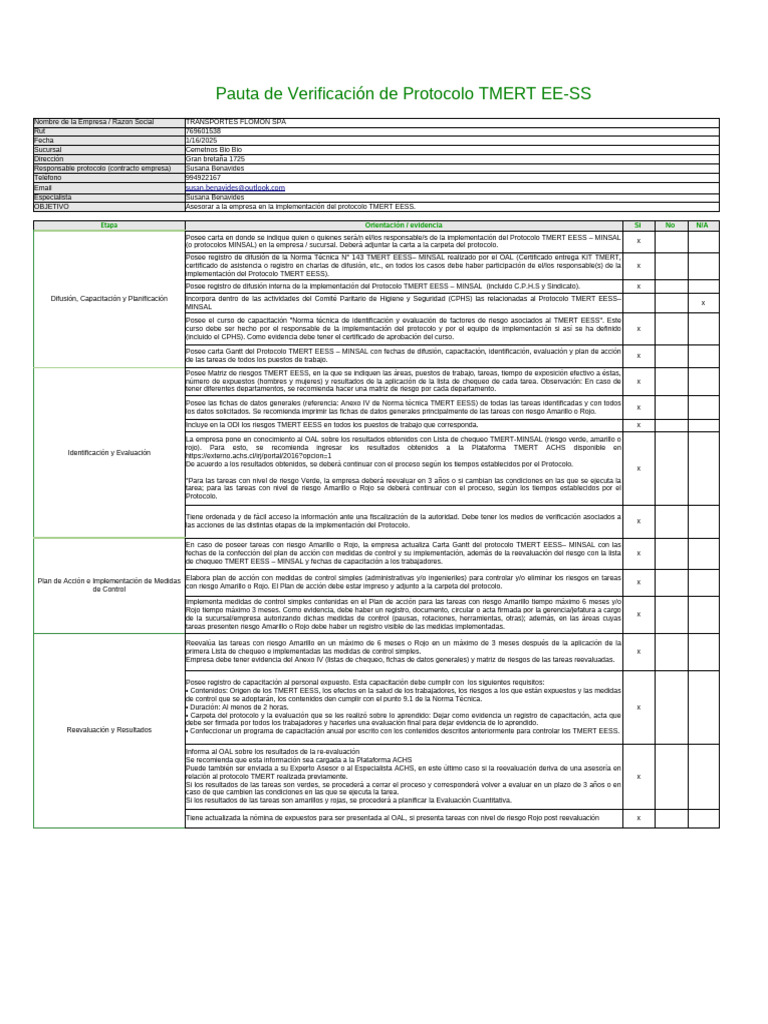 Pauta Verificacion Tmert | PDF