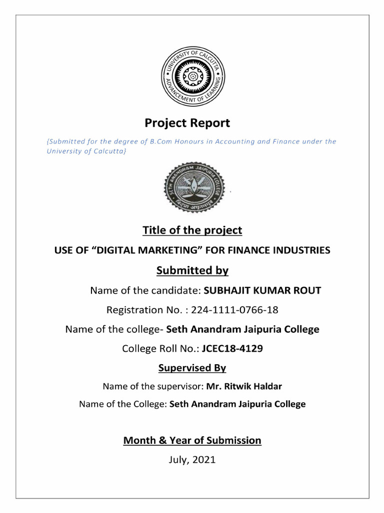 Use of Digital Marketing For Finance Industries-By Subhajit Rout | PDF