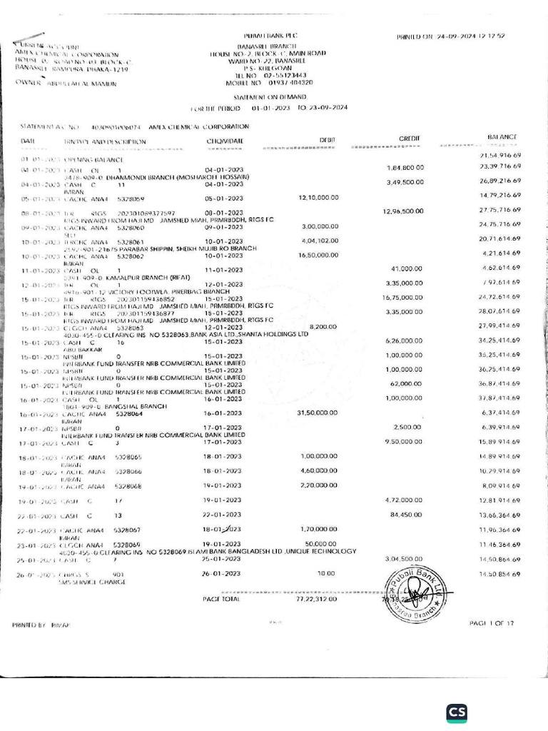 Amex Chem - Pubali Bank Statement - Compressed - Compressed | PDF