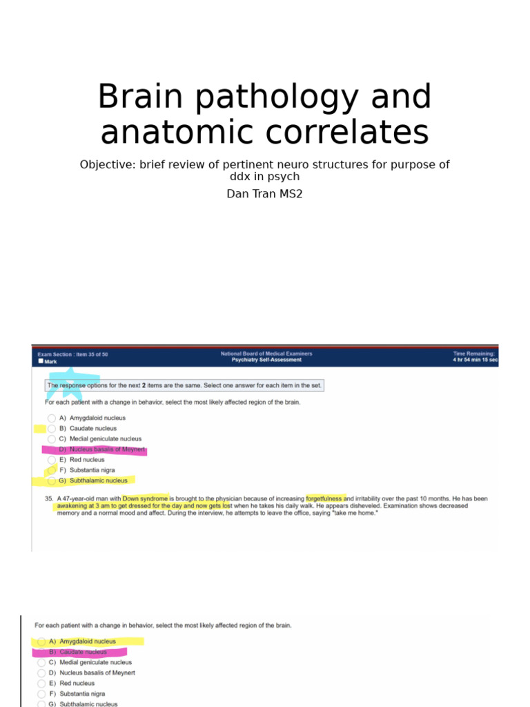 Brain Pathology and Anatomy | PDF | Striatum | Amygdala