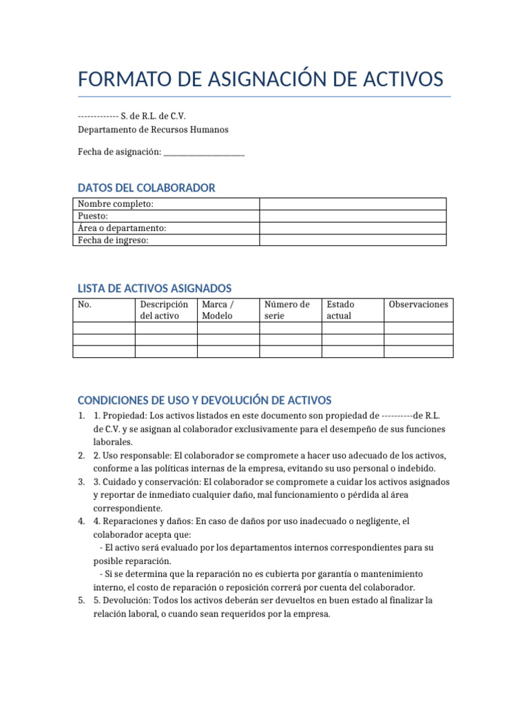 Formato Asignacion Activos | PDF