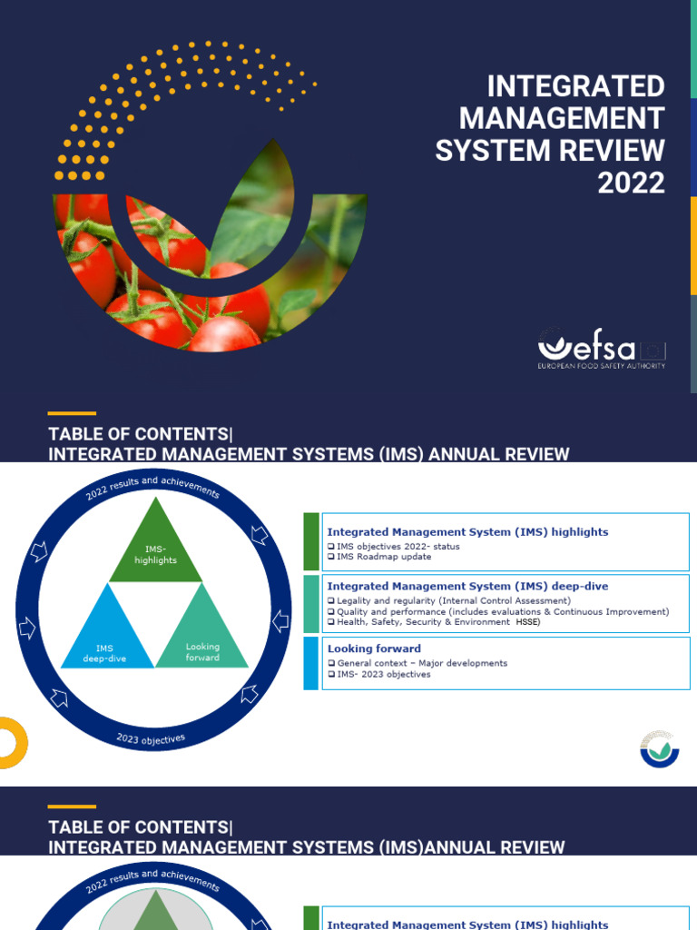 2022 Ims Management Review Report | PDF | Internal Control | Audit