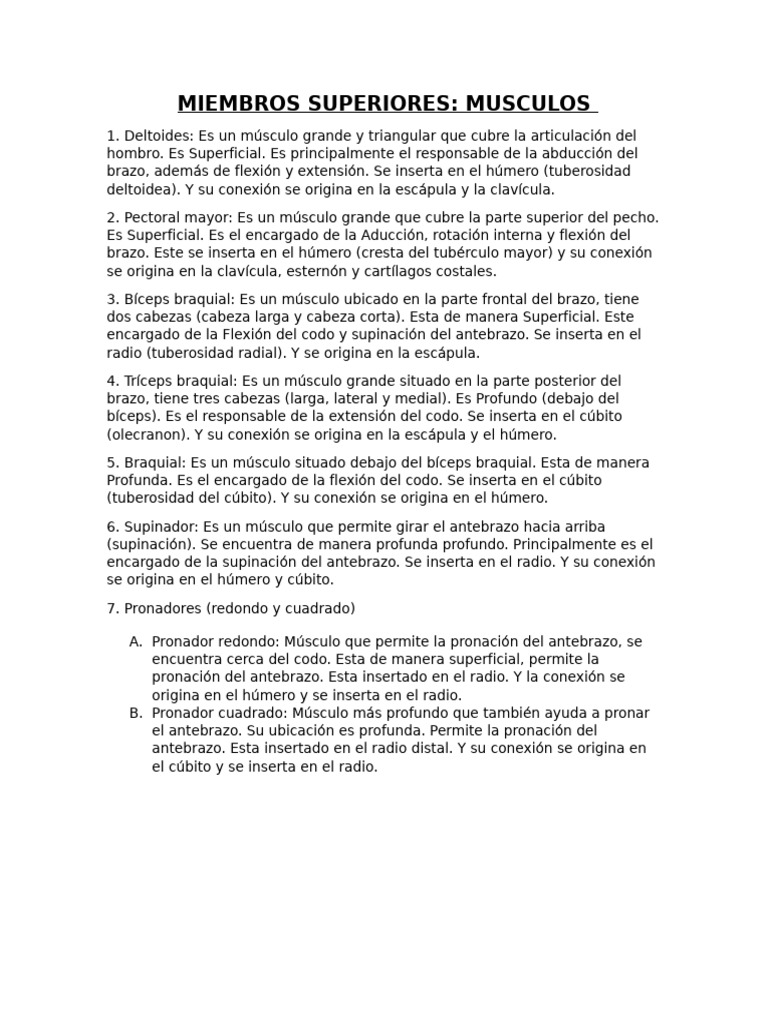 Músculos de los Miembros Superiores | PDF