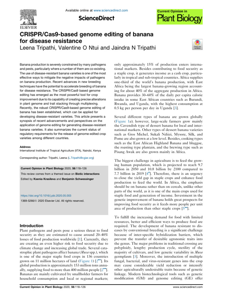 CRISPR for Disease-Resistant Bananas | PDF | Gene Knockout ...