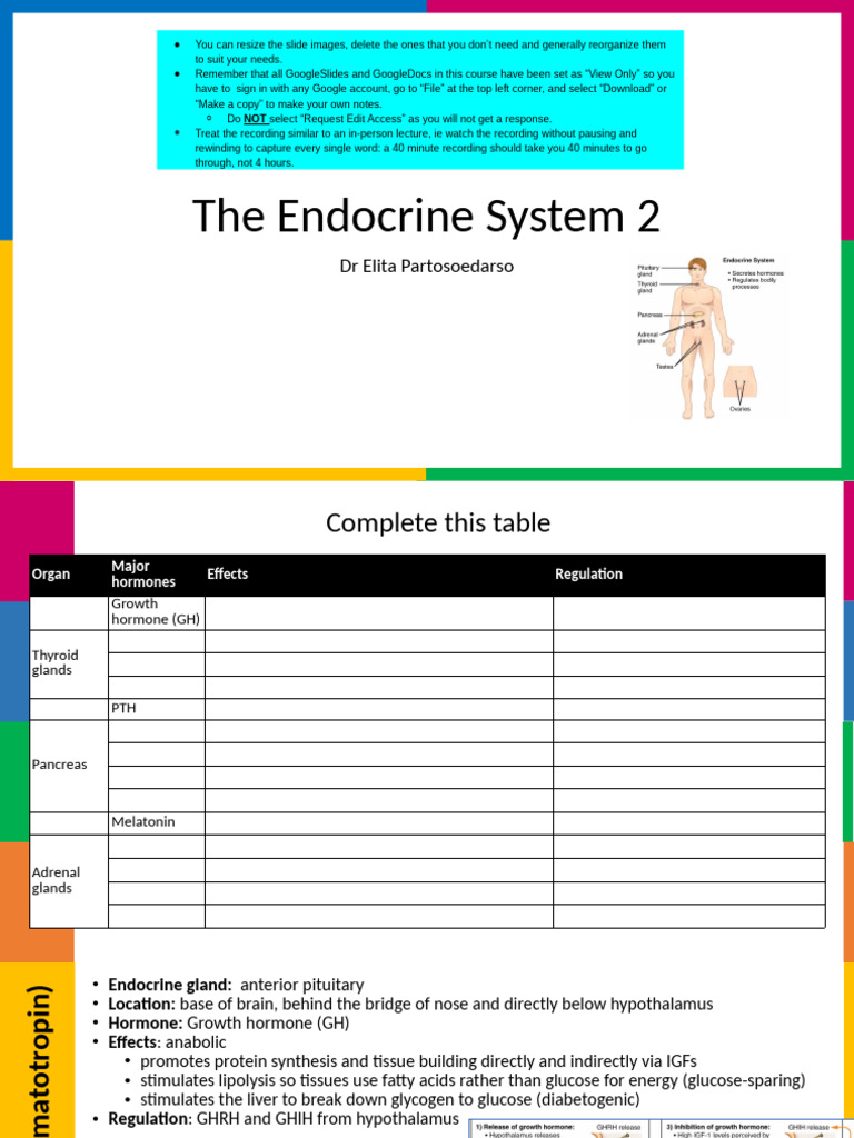 9 Endocrine System 2 | PDF | Angiotensin | Thyroid