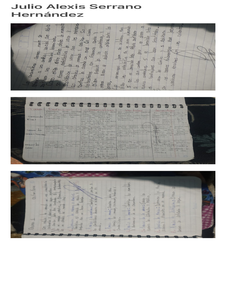 Julio Alexis Serrano Hernández | PDF