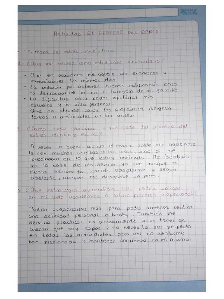 Actividad - El Proceso Del Estres - Jessica Velasquez Jimenez | PDF