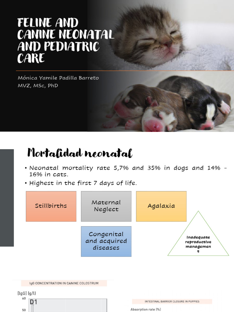 Neonatal Care for Cats and Dogs | PDF | Childhood | Pediatrics