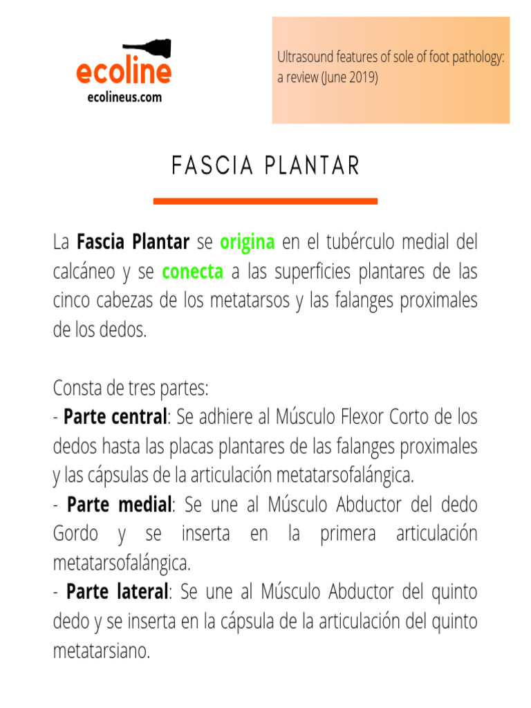 Ecoline Patología Fascia Plantar | PDF | Pie | Enfermedades y trastornos