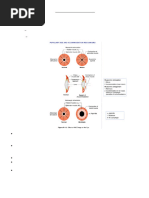 Miotics and Mydriatics | PDF | Ophthalmology | Human Eye