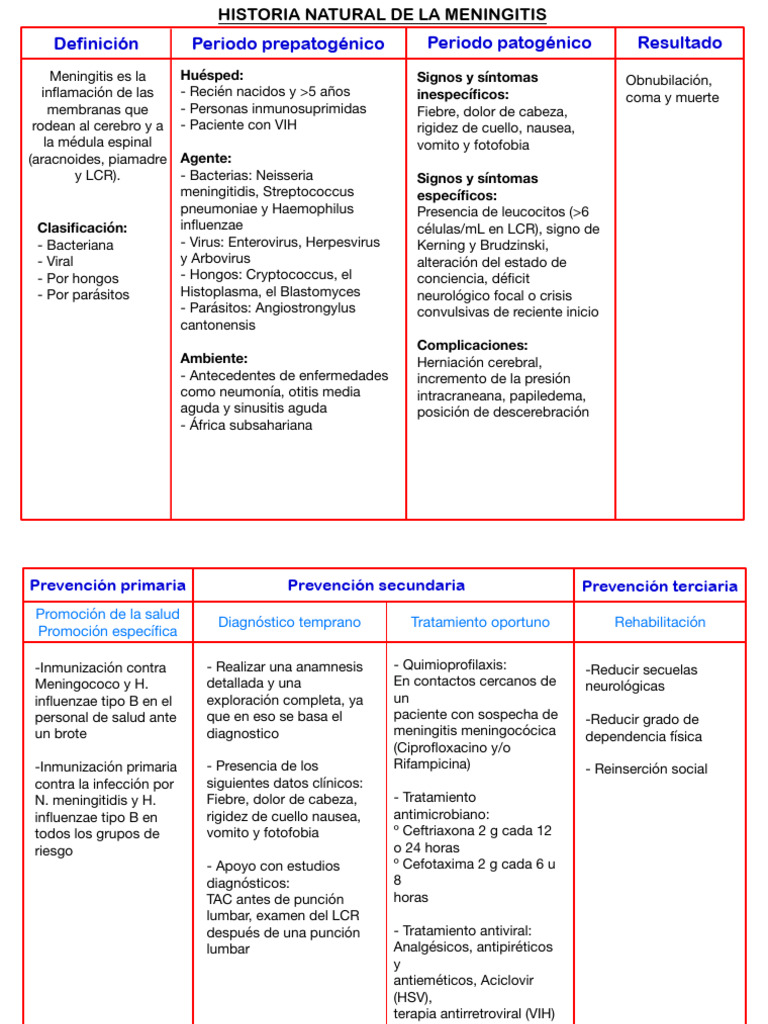 Historia Natural de Meningitis | PDF | Meningitis | Enfermedades y trastornos