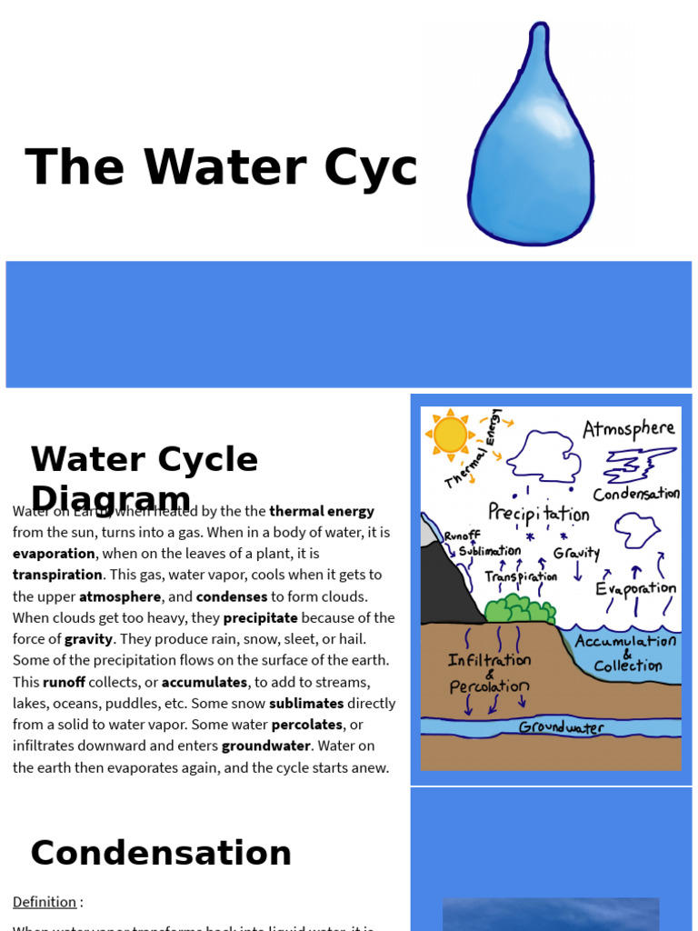 Water Cycle Science Skills | PDF | Water Cycle | Water