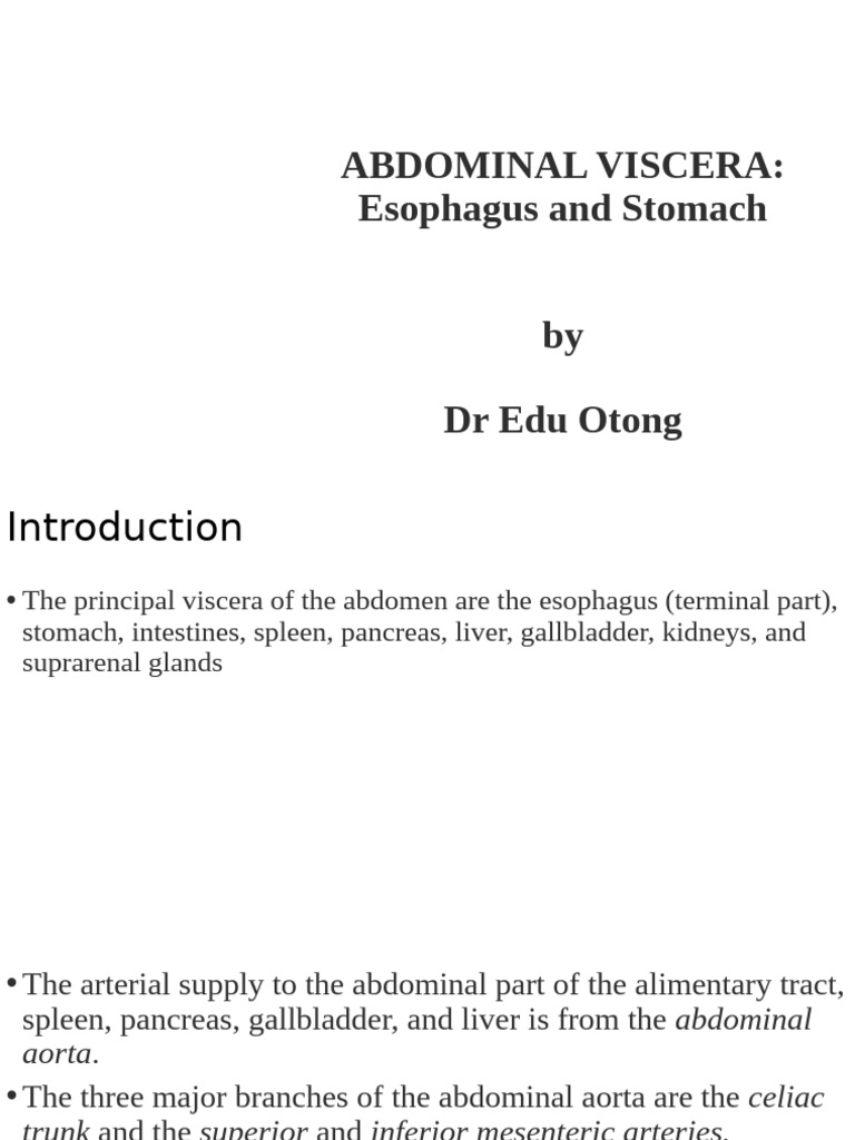 04 Abdominal Viscera | PDF | Esophagus | Stomach