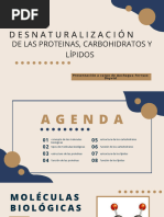 Importancia de los CHONPS en la vida | PDF | Alimentos | Nutrientes