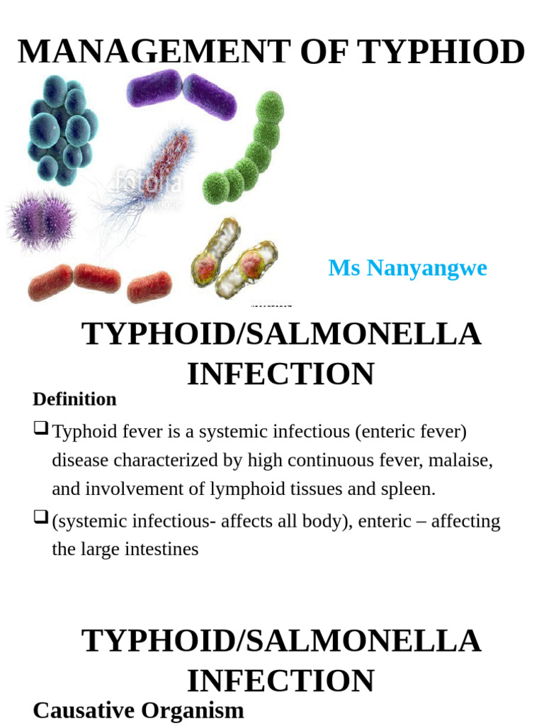 Understanding Typhoid Fever Management | PDF | Infection | Salmonella