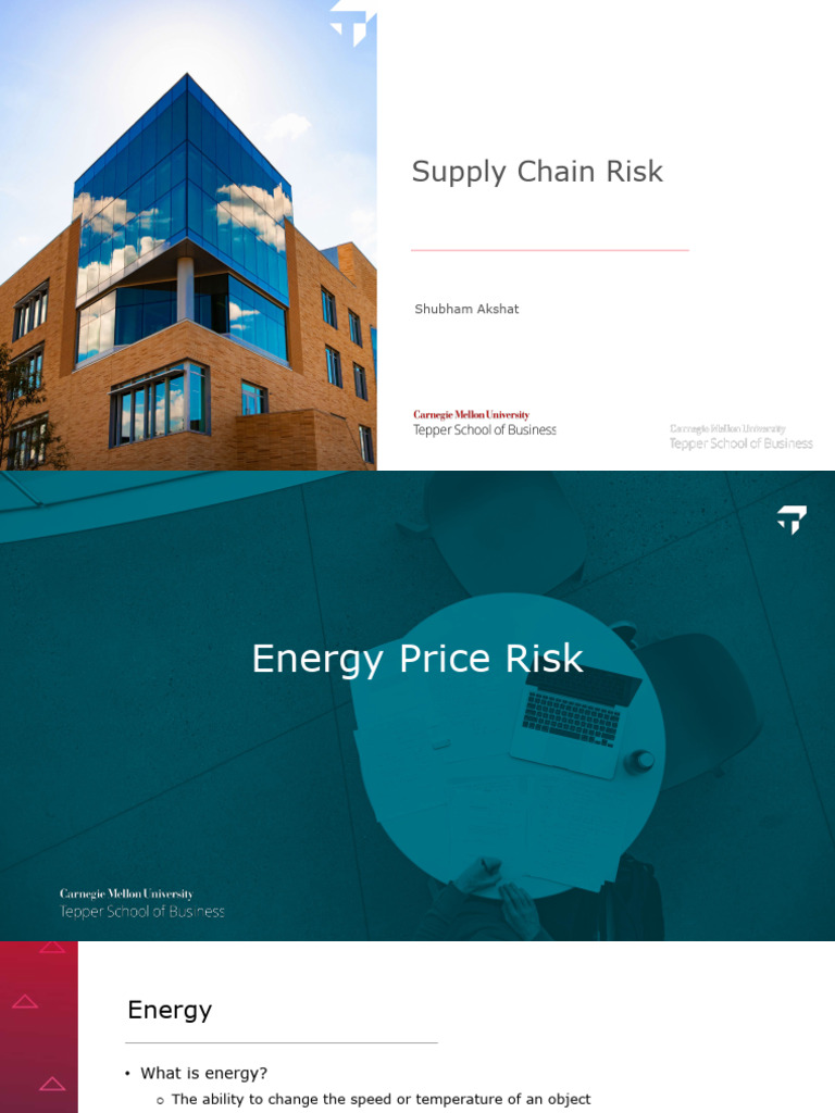 Energy Price Risk | PDF | Futures Contract | Net Present Value