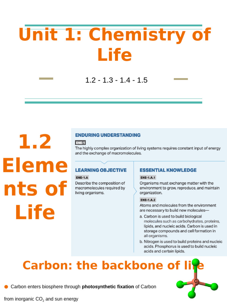 Chemistry of Life: Macromolecules Overview | PDF | Carbohydrates | Fat