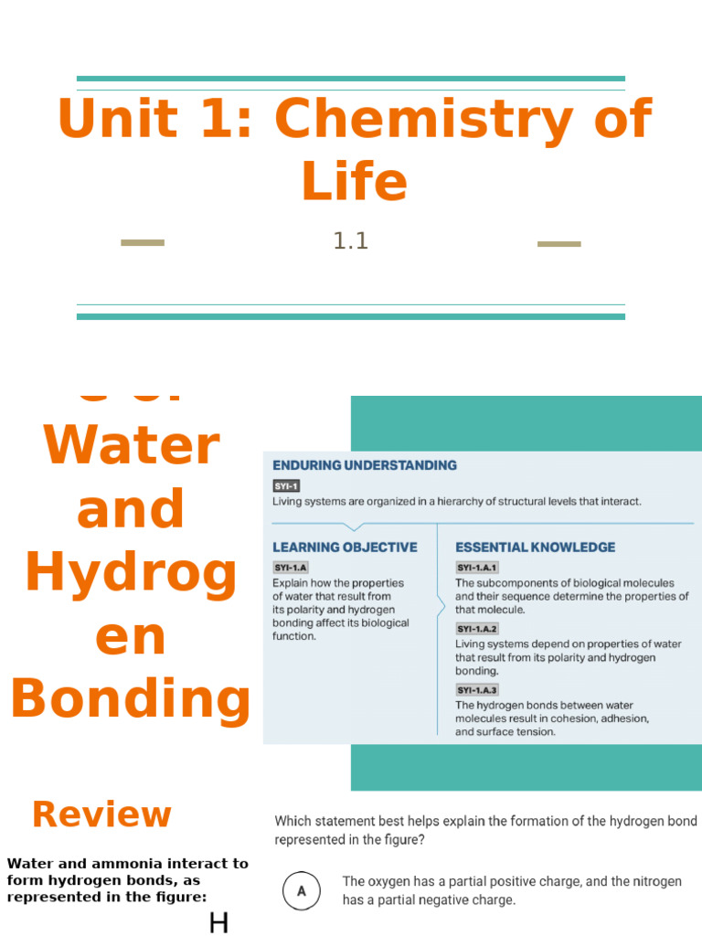 Structure of Water and Hydrogen Bonds | PDF | Chemical Polarity ...