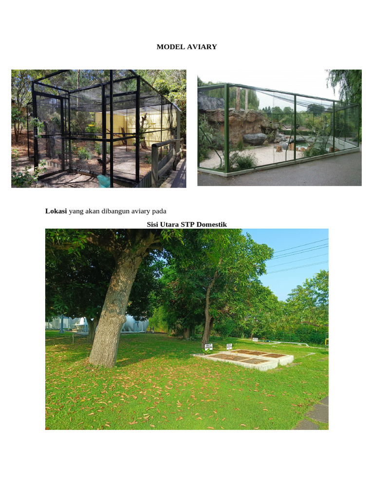 Model Aviary Dan Perawatan Sulkata (Kura-Kura Afrika) | PDF