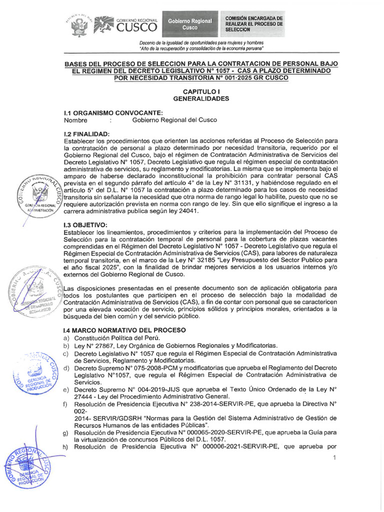 Bases Del Proceso de Seleccion Cas 001 2025 | PDF