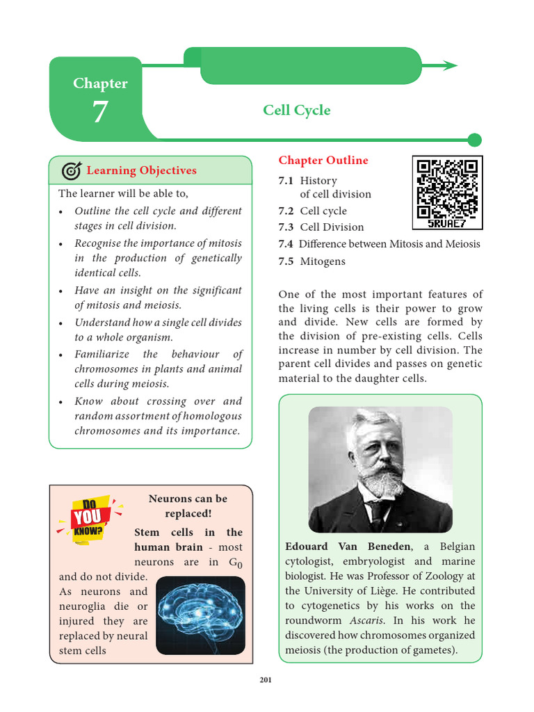 Cell Cycle: Learning Objectives Chapter Outline | PDF | Meiosis | Mitosis