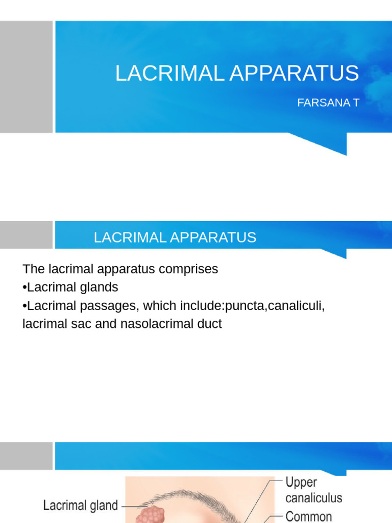 Lacrimal Apparatus | PDF | Human Nose | Human Head And Neck