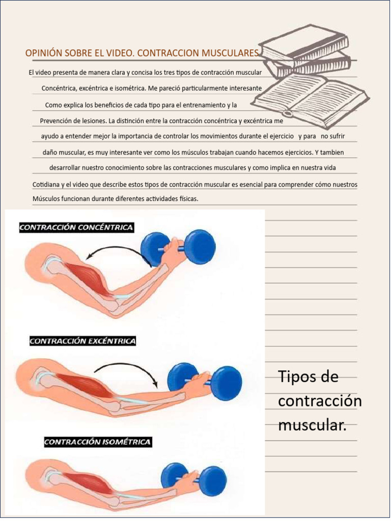 Tipos de Contracción Muscular Explicados | PDF
