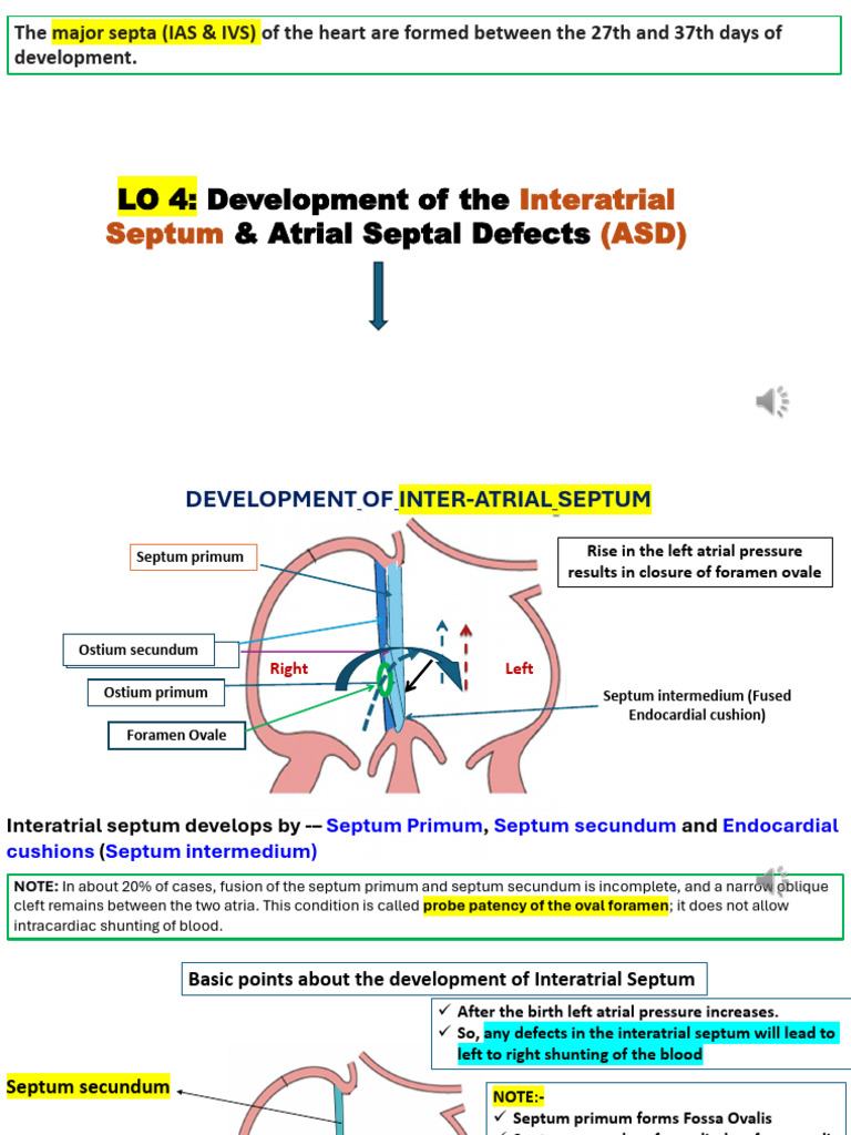 Interatrial & Interventricular Septum Development Along With ASD and VSD | PDF | Congenital ...