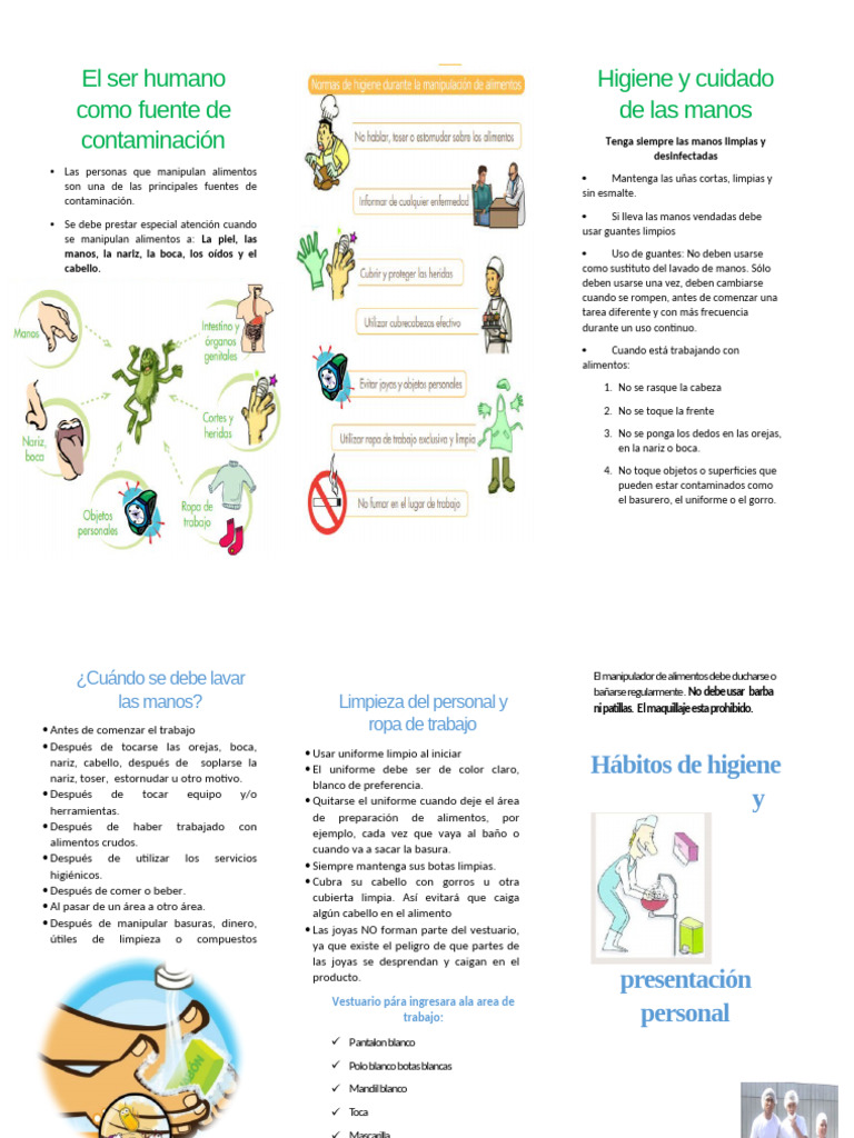 3-Habitos de Higiene y Presentación Personal | PDF | Higiene | Lavado ...