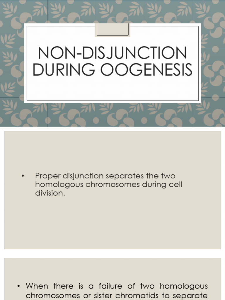 Non-Disjunction During Oogenesis | PDF