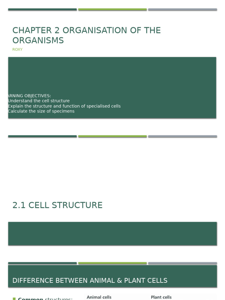 IG 生物 Ch2 | PDF | Cell (Biology) | Eukaryotes